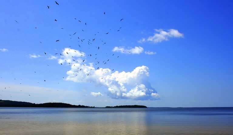 Ssese Islands Official Website, Traveler Information & Guide