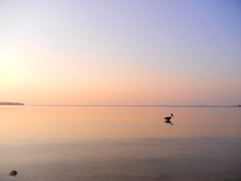 Ssese Islands Official Website, Traveler Information & Guide